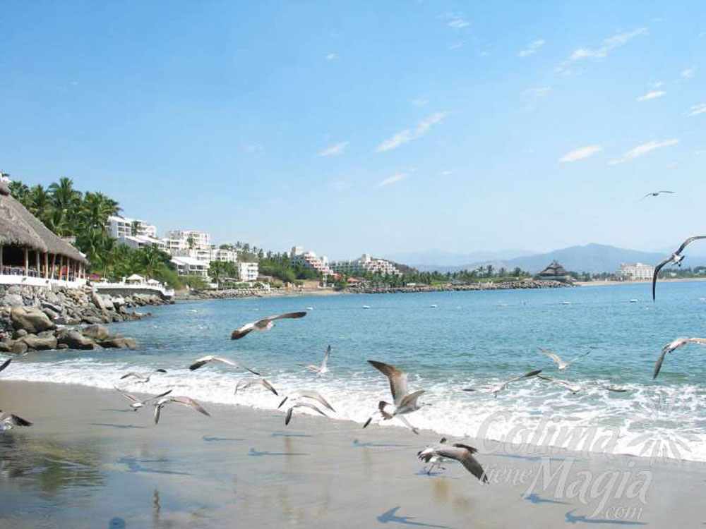 Turismo de Sol y Playa en Colima Articulos y tips de viaje sobre Playas ...